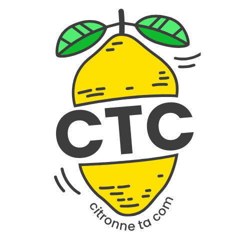 CITRONNE TON BUSINESS